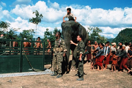 Operation Dumbo Drop 1995 Editorial Stock Photo - Stock Image ...
