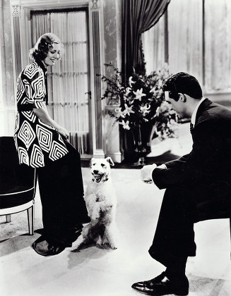__COUNT__ The Awful Truth - 1937 Stock Pictures, Editorial Images and ...