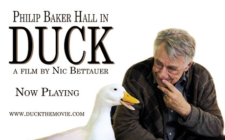 Duck - 2005 Stock Pictures, Editorial Images and Stock Photos ...