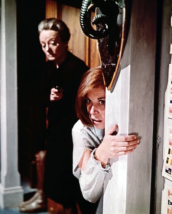 Fanatic - 1965 Stock Pictures, Editorial Images and Stock Photos ...