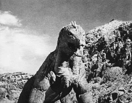 __COUNT__ When Dinosaurs Ruled The Earth - 1969 Stock Pictures ...