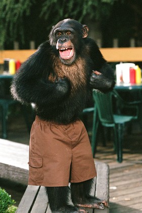 Funky Monkey 2004 Editorial Stock Photo - Stock Image | Shutterstock