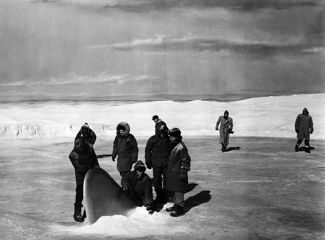 The Thing - 1951 Stock Pictures, Editorial Images and Stock Photos ...