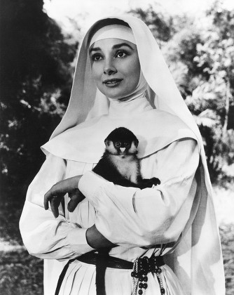 1 Nuns holding monkey film portrait fred zinnemann Stock Pictures ...