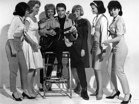 Roustabout - 1964 Stock Pictures, Editorial Images and Stock Photos ...