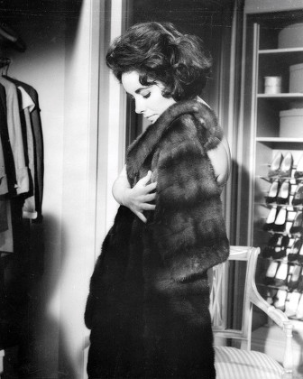61 Elizabeth taylor butterfield Stock Pictures, Editorial Images and ...
