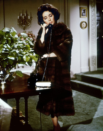 61 Elizabeth taylor butterfield Stock Pictures, Editorial Images and ...