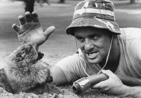 Caddyshack 1980 Editorial Stock Photo - Stock Image | Shutterstock