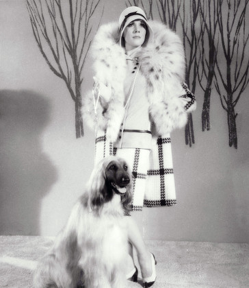 Star! - 1968 Stock Pictures, Editorial Images and Stock Photos ...