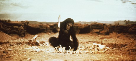 1 Ape and bones scene still stanley kubrick Stock Pictures, Editorial ...