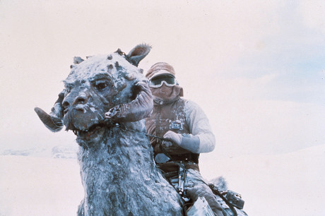 3 Luke skywalker tauntaun scene still irvin kershner Stock Pictures ...