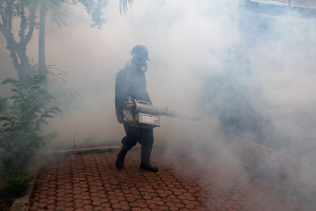 Government Employee Makes Fog Prevent Spread Editorial Stock Photo ...