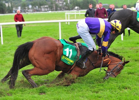 Listowel Lady Sea Mikey Fogarty Part Editorial Stock Photo - Stock ...