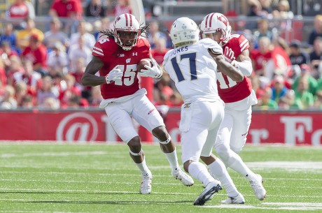 Wisconsin Badgers Wide Receiver Robert Wheelwright Editorial Stock ...