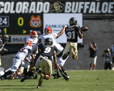Colorado Buffaloes Wide Receiver Devin Ross Editorial Stock Photo ...