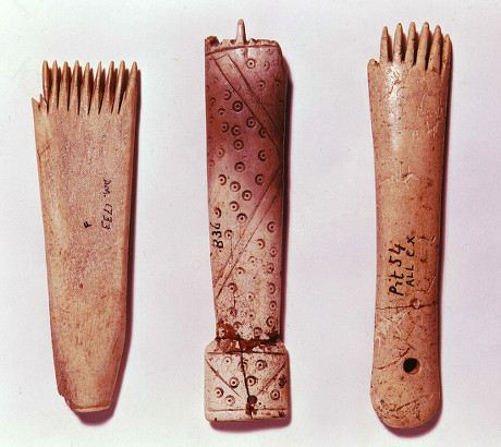 Bone Weaving Combs Early Iron Age Editorial Stock Photo - Stock Image ...