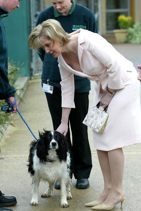 Sophie Countess Wessex Editorial Stock Photo - Stock Image | Shutterstock