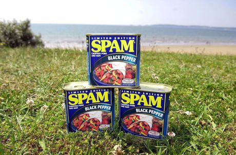 Cans Spam Editorial Stock Photo - Stock Image | Shutterstock