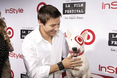 Jeremy Renner Bullseye Target Dog Editorial Stock Photo - Stock Image ...