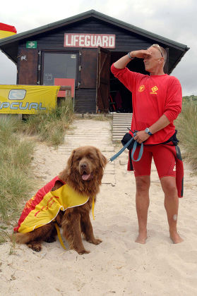 Bilbo Lifeguard Dog His Owner Lifeguard Editorial Stock Photo - Stock ...