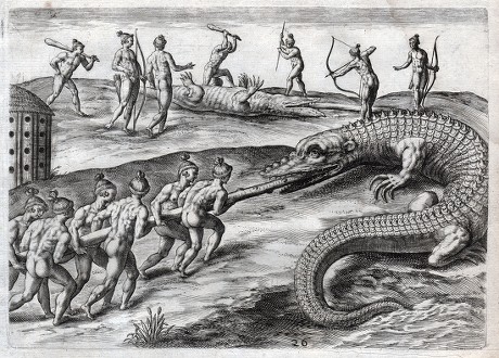 Timucua Indians Hunting Alligators Engraving By Editorial Stock Photo ...