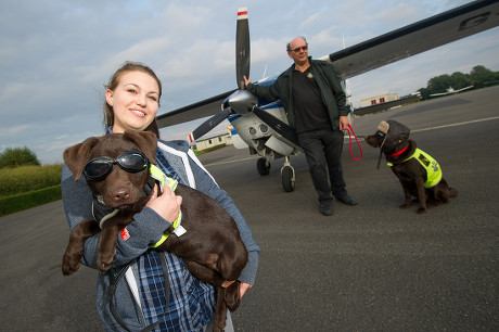 __COUNT__ Dog pilot recruits puppy to be her co-pilot, Northamptonshire ...