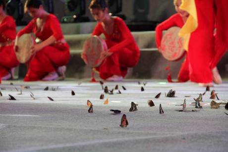 Butterflies Crushed By Performers Editorial Stock Photo - Stock Image ...