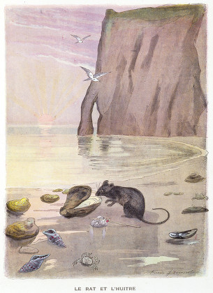 Rat Oyster Illustration Fable By Jean Editorial Stock Photo - Stock ...