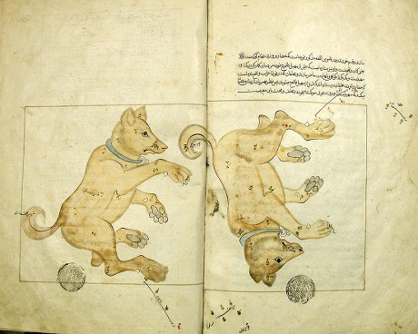 Constellation Dog Manuscript Illumination Catalogue Fixed Editorial ...