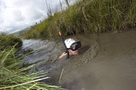 21st World Bog Snorkelling Championships Which Editorial Stock Photo ...