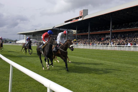__COUNT__ Ryder Cup Racing Day at The Curragh Racecourse near Dublin ...