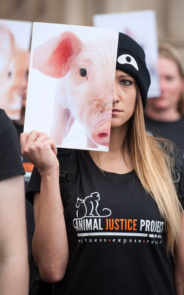 21 Animal justice project Stock Pictures, Editorial Images and Stock ...