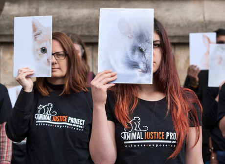 21 Animal justice project Stock Pictures, Editorial Images and Stock ...