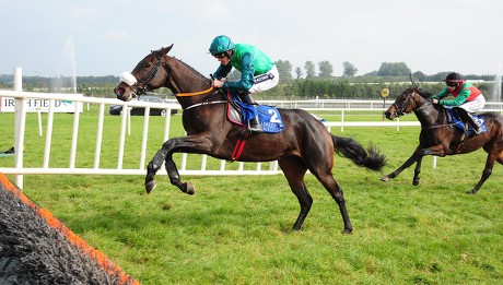 Limerick Missy Tata Ruby Walsh Win Editorial Stock Photo - Stock Image ...