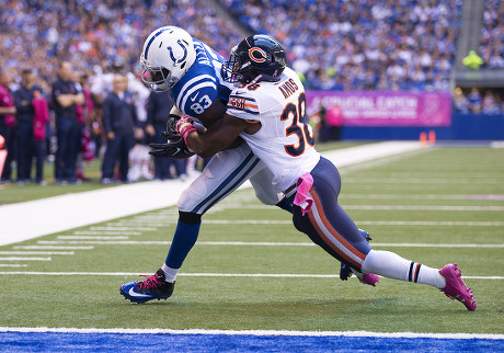Chicago Bears Linebacker Jerrell Freeman 50 Editorial Stock Photo - Stock Image | Shutterstock