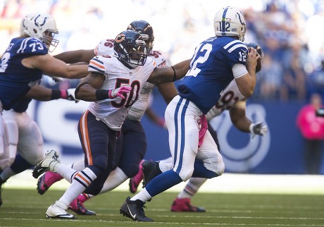 Chicago Bears Linebacker Jerrell Freeman 50 Editorial Stock Photo ...