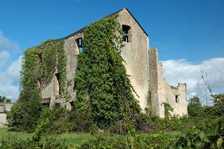 Large Run Down Ruin Building Covered Editorial Stock Photo - Stock ...