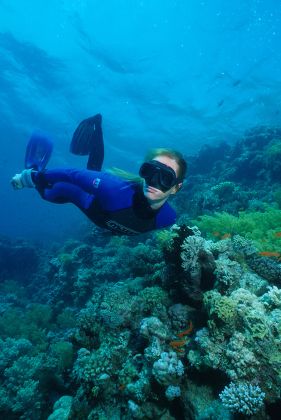 Freediving Taking Depth Marker Editorial Stock Photo - Stock Image ...