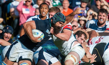 Rugby Union World Cup Scotland V Editorial Stock Photo - Stock Image ...