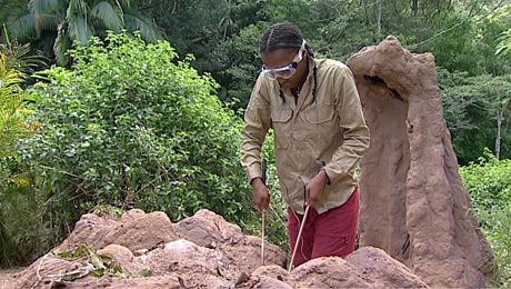 Phina Oruche During Operation Bushtucker Trial Editorial Stock Photo ...
