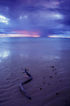 16 Coral bay sunset Stock Pictures, Editorial Images and Stock Photos ...