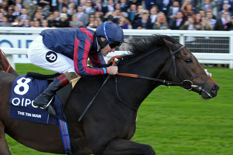 Ascot Qipco British Champions Sprint Stakes Editorial Stock Photo ...