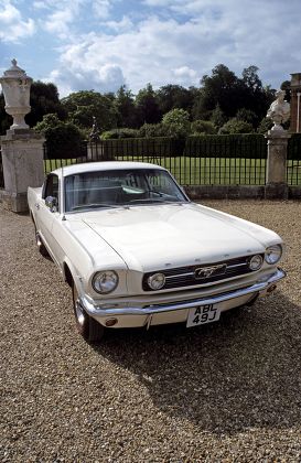 55 Mustang fastback Stock Pictures, Editorial Images and Stock Photos ...