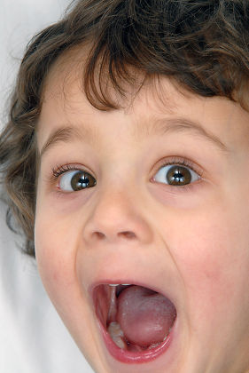 Various Stock Pictures, Editorial Images and Stock Photos | Shutterstock