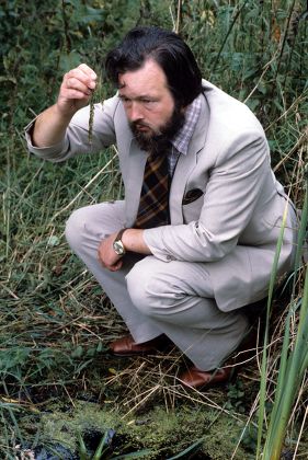 Dr Miriam Rothschild Julian Pettifer Nature Editorial Stock Photo ...