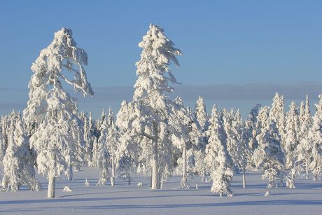 Pudasjarvi Northern Finland Editorial Stock Photo - Stock Image ...
