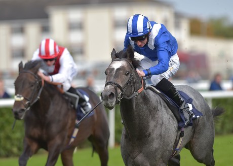 Connor Beasley Jockey Doncaster Racecourse On Editorial Stock Photo ...