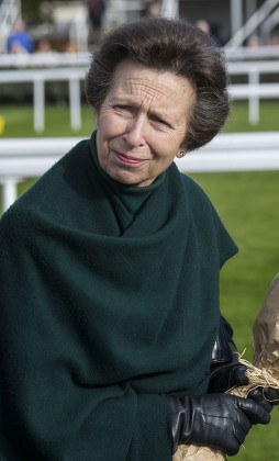 Princess Anne Patron Spinal Injuries Association Editorial Stock Photo ...