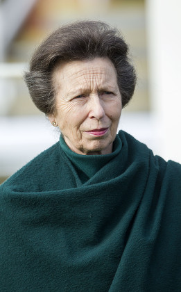 Princess Anne Patron Spinal Injuries Association Editorial Stock Photo ...