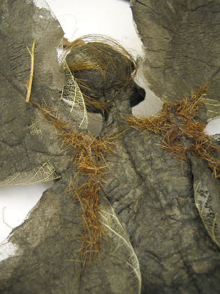 Fairy Corpse Alleged Have Been Found Editorial Stock Photo - Stock ...
